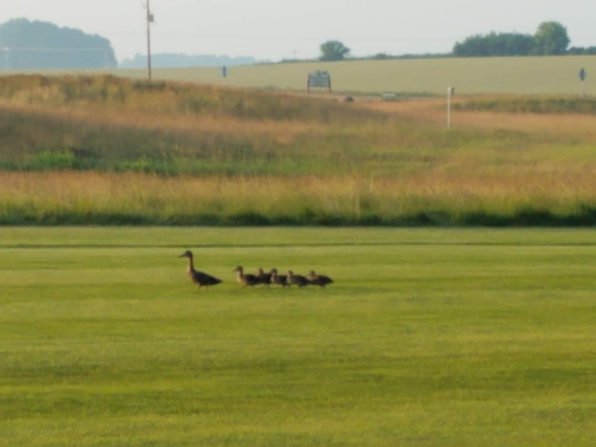 Photo Gallery | Fox Lake Golf Club